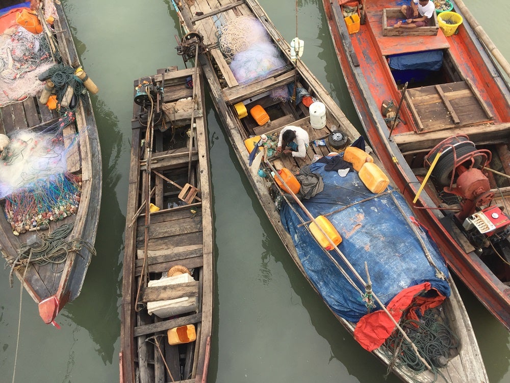 Building fisheries for the future - EDFish