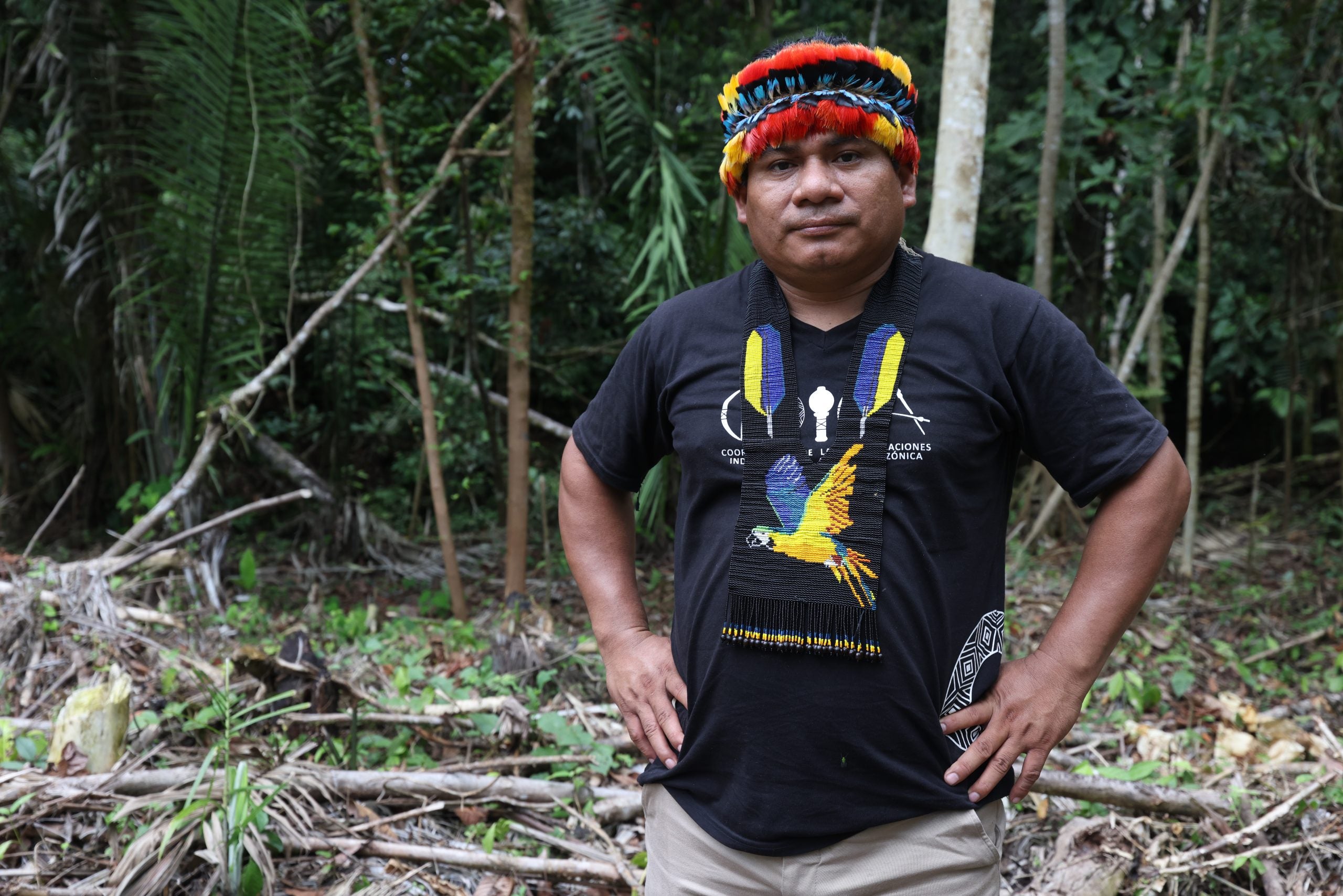 Forest climate finance must be more equitable to support Indigenous ...