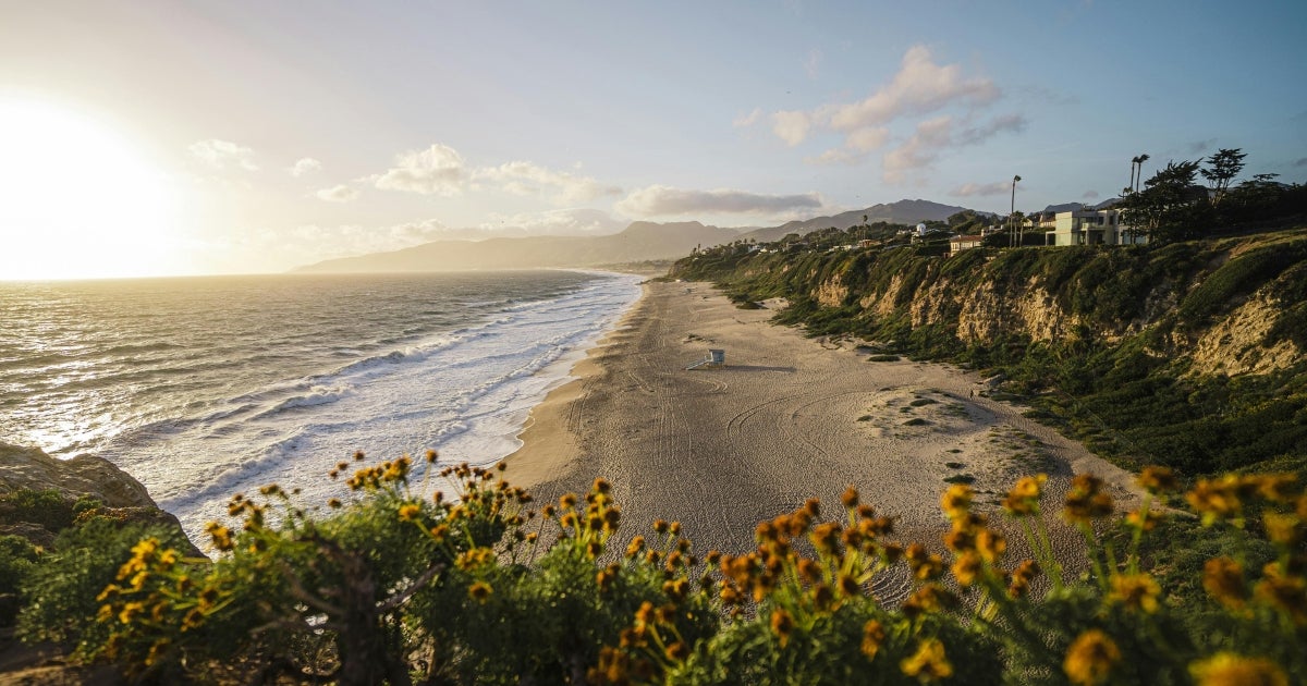 California’s latest cap-and-invest auction highlights opportunity for ...