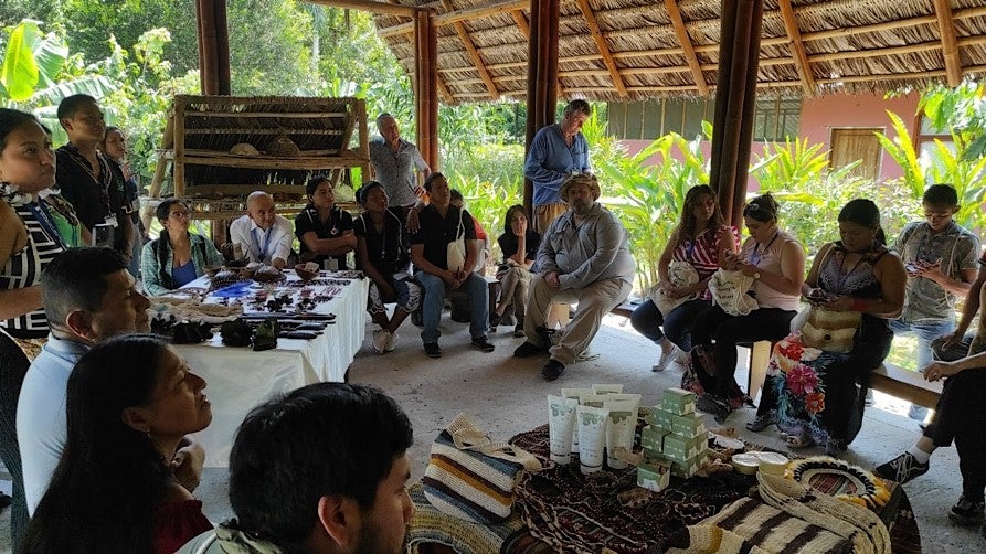 The Indigenous Peoples and Local Communities’ Road to COP30 at Belém ...