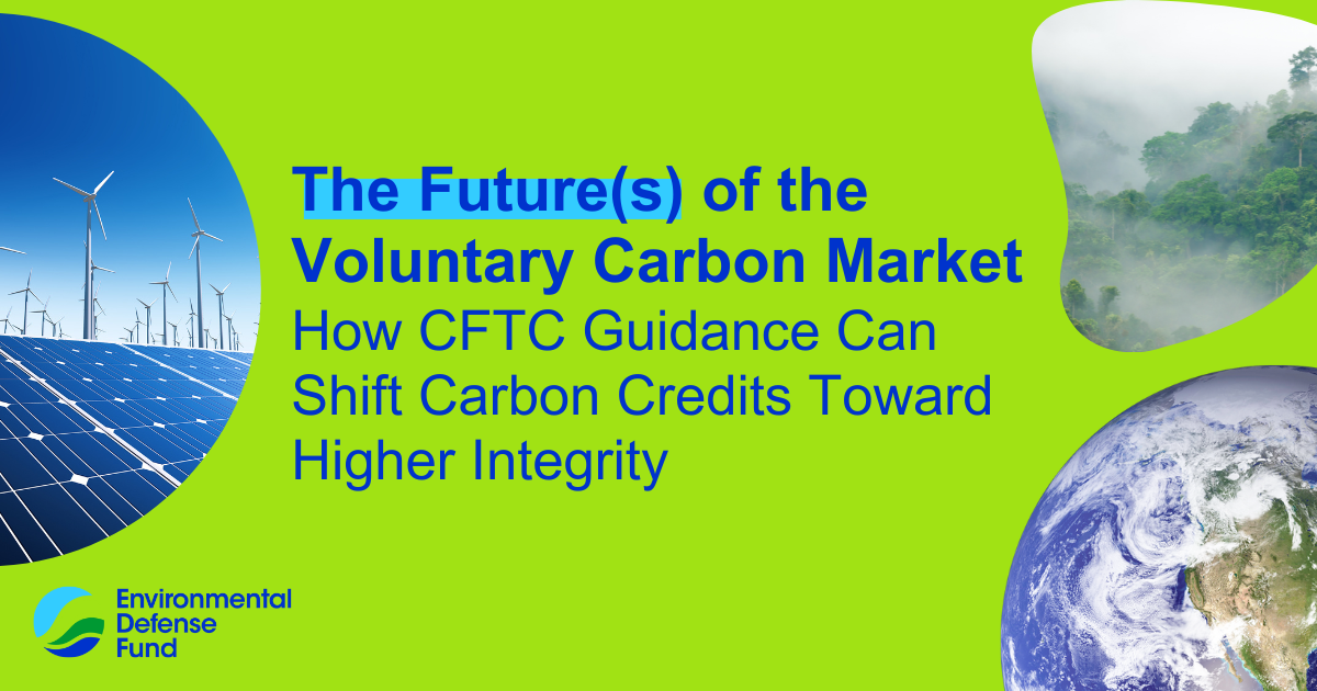 Future(s) of the Voluntary Carbon Market: How CFTC Guidance Can Shift ...