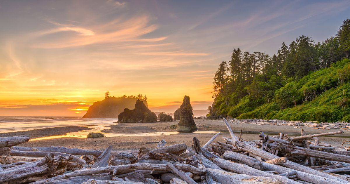 Washington state’s landmark climate law continues to build a greener ...