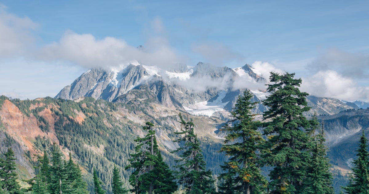 One year into its cap-and-invest program, Washington state looks to ...