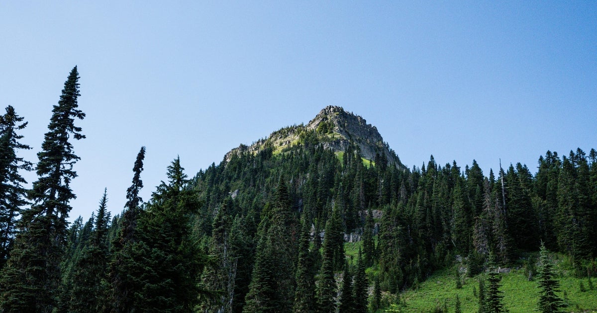 Washington state’s landmark climate law continues to build a greener ...