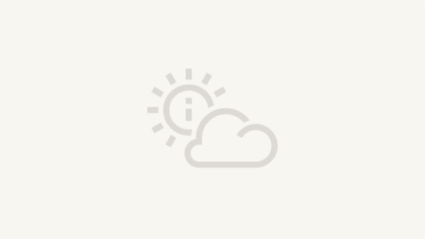California’s latest cap-and-invest auction highlights opportunity for ...