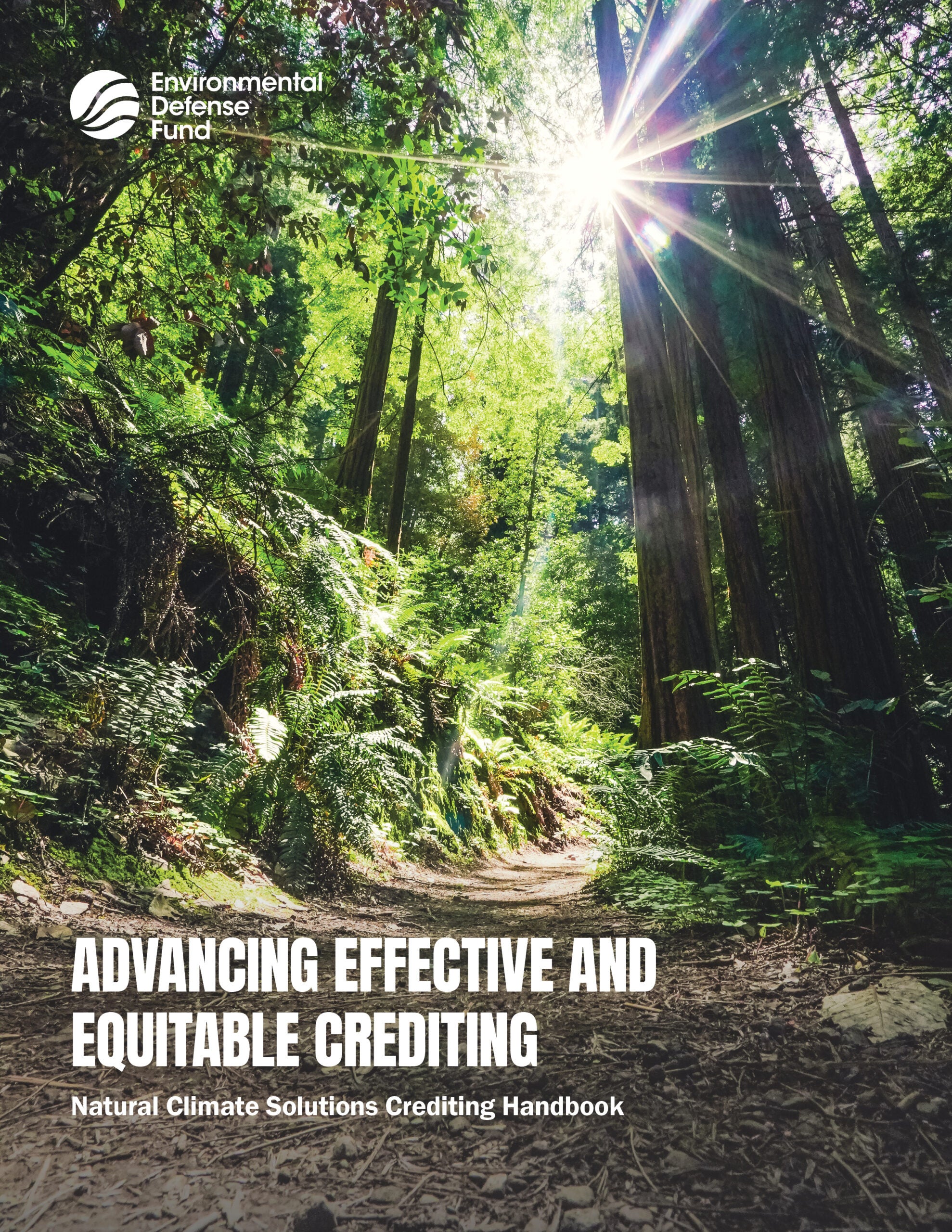 Want to understand Natural Climate Solutions Crediting? We have a ...