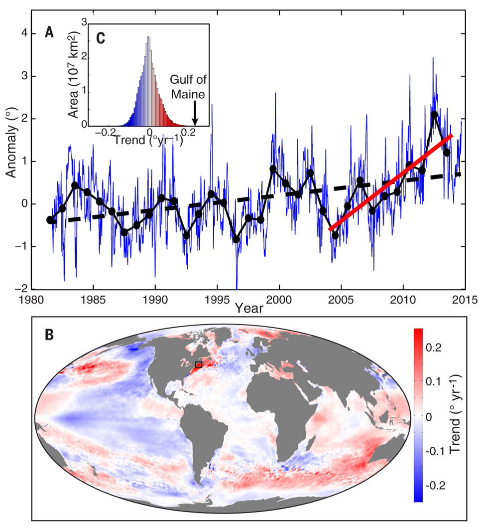 Why are cod struggling to recover in New England? Climate change is ...