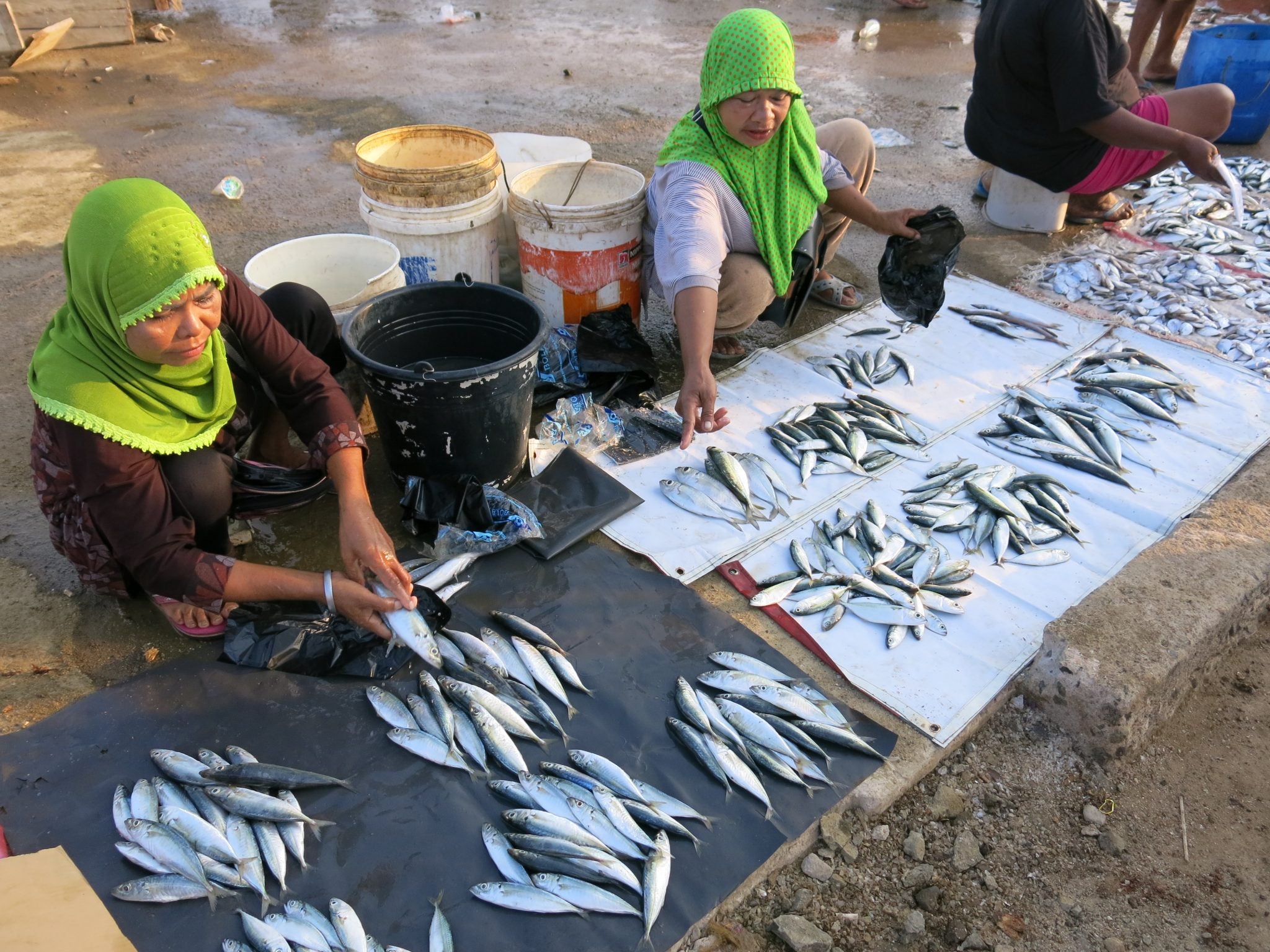 World Food Day: Utilizing the ocean to feed the planet