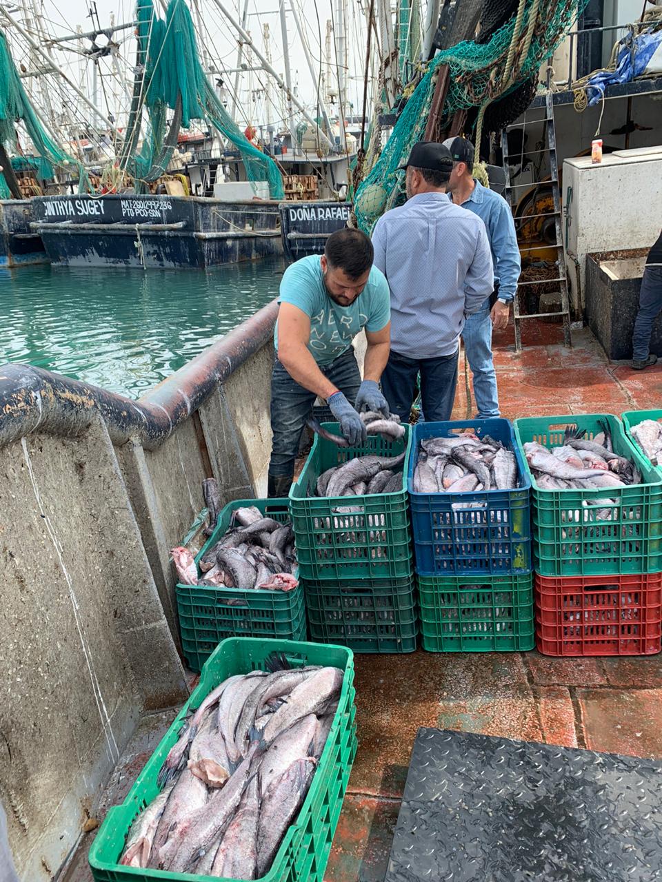 Digital tools can make Mexican fisheries more sustainable — and profitable