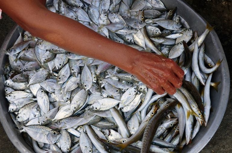 Engaging Small-Scale Fishers in the U.N. Food Systems Summit