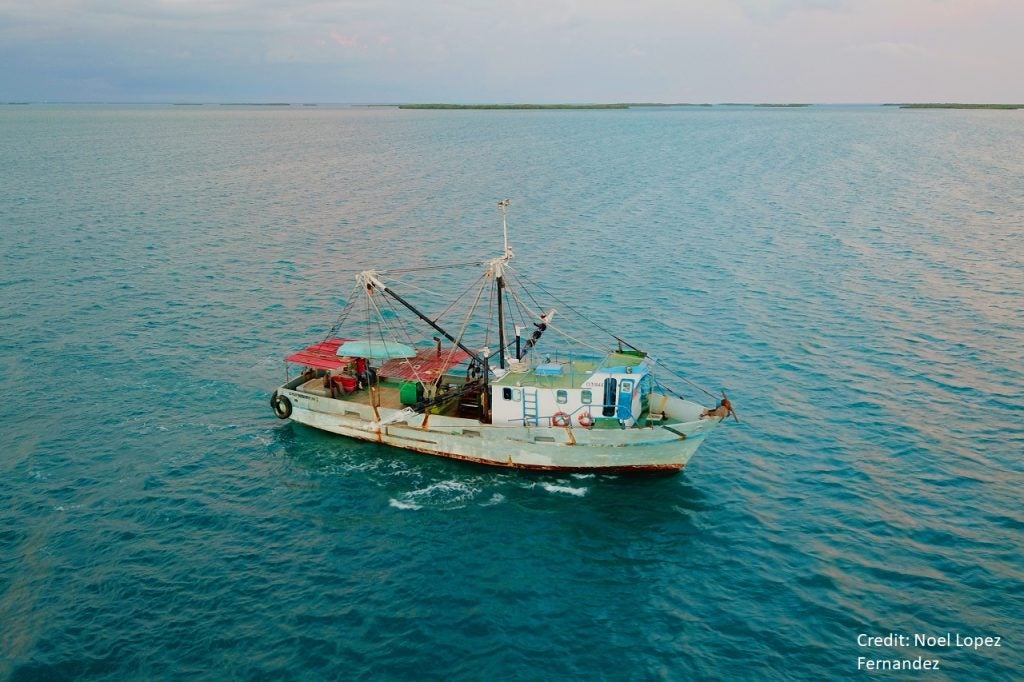 For fisheries in the Caribbean, life revolves around the climate… and ...