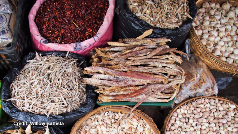 EDFish | Innovating for healthy oceans