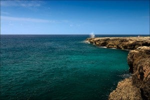 EDF Staff Back From Cuba - EDFish