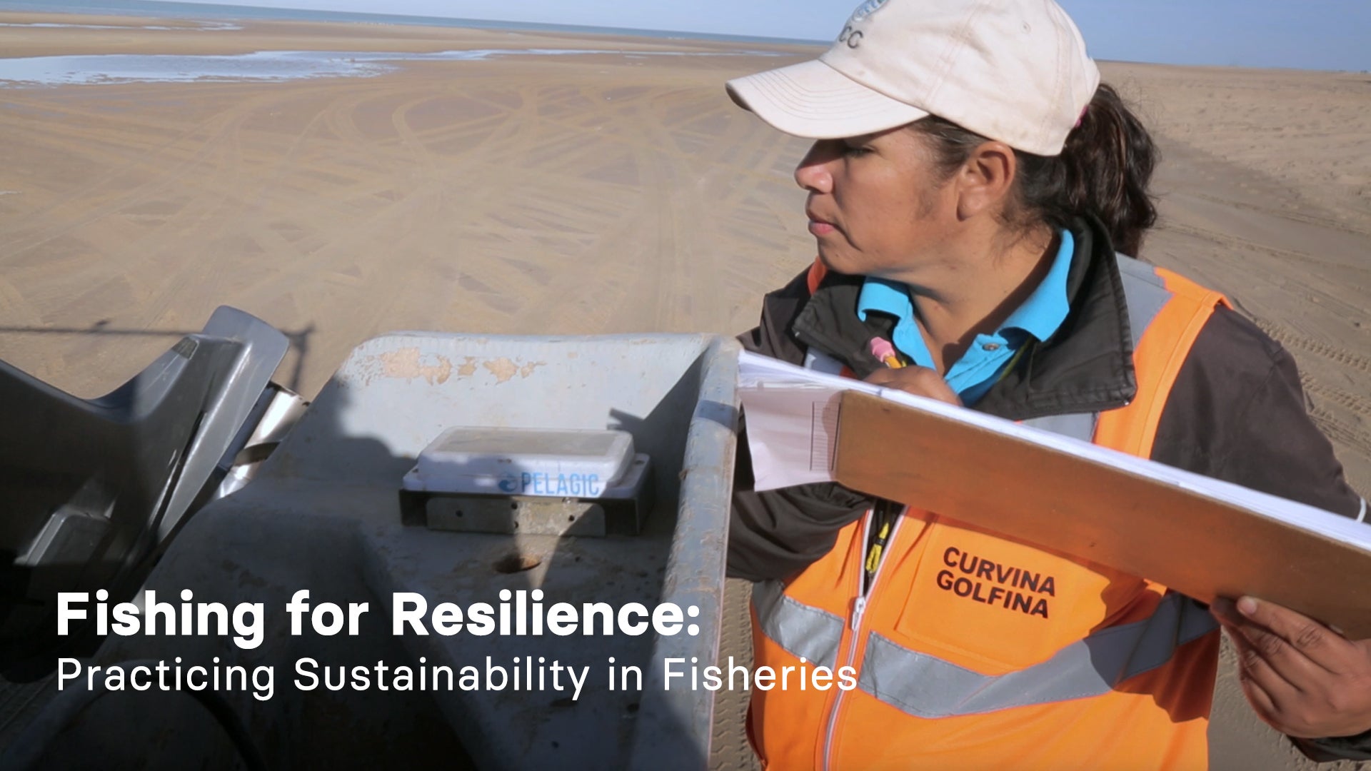 Fishing for Resilience: a video series to introduce you to climate ...