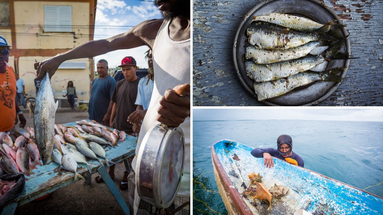 Fish: the missing ingredient in addressing global malnutrition - EDFish