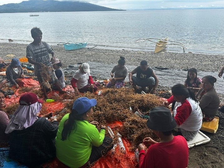 Seaweed farming: Fresh green hope for the Philippines’ blue economy ...