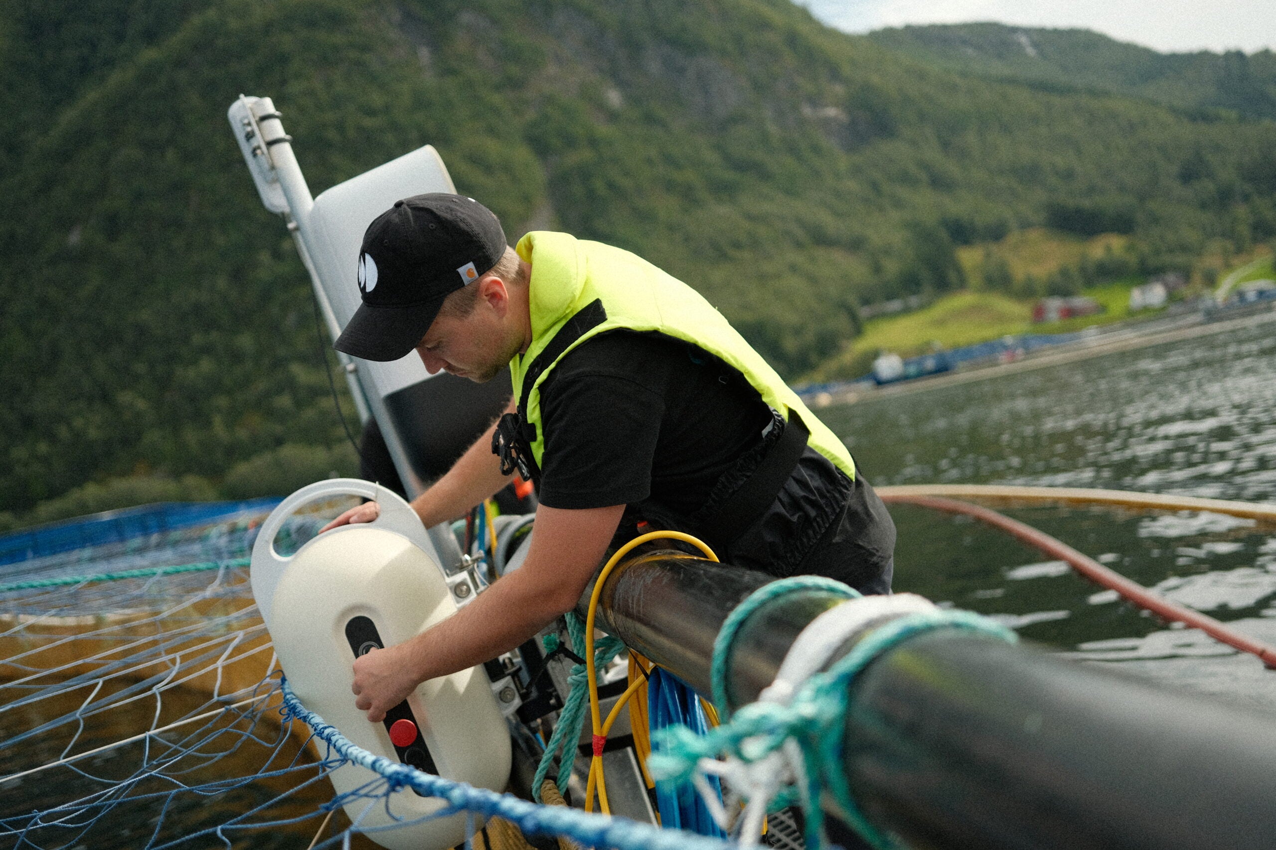 A Look at Science, Technology, and Artificial Intelligence for ...