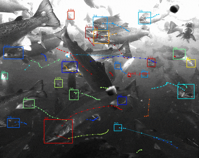 A Look at Science, Technology, and Artificial Intelligence for ...