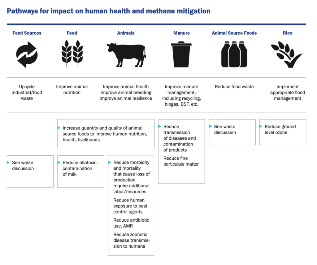Methane and Health: Crucial Intersections between Climate Mitigation ...