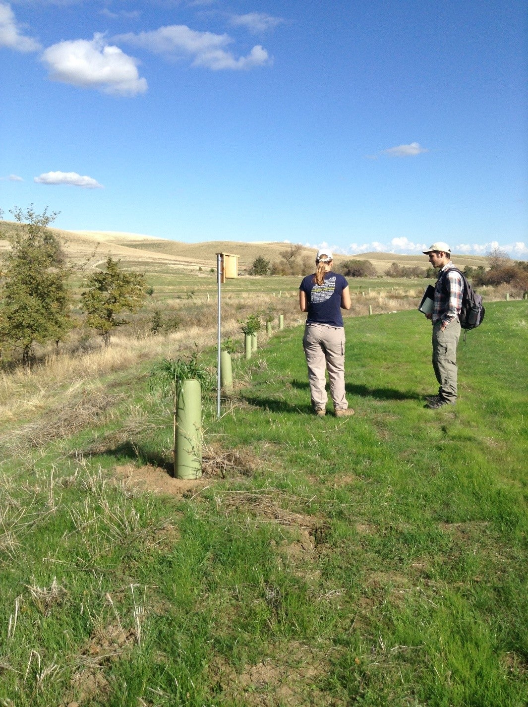 How healthy riparian forests benefit California ranchers | Growing Returns
