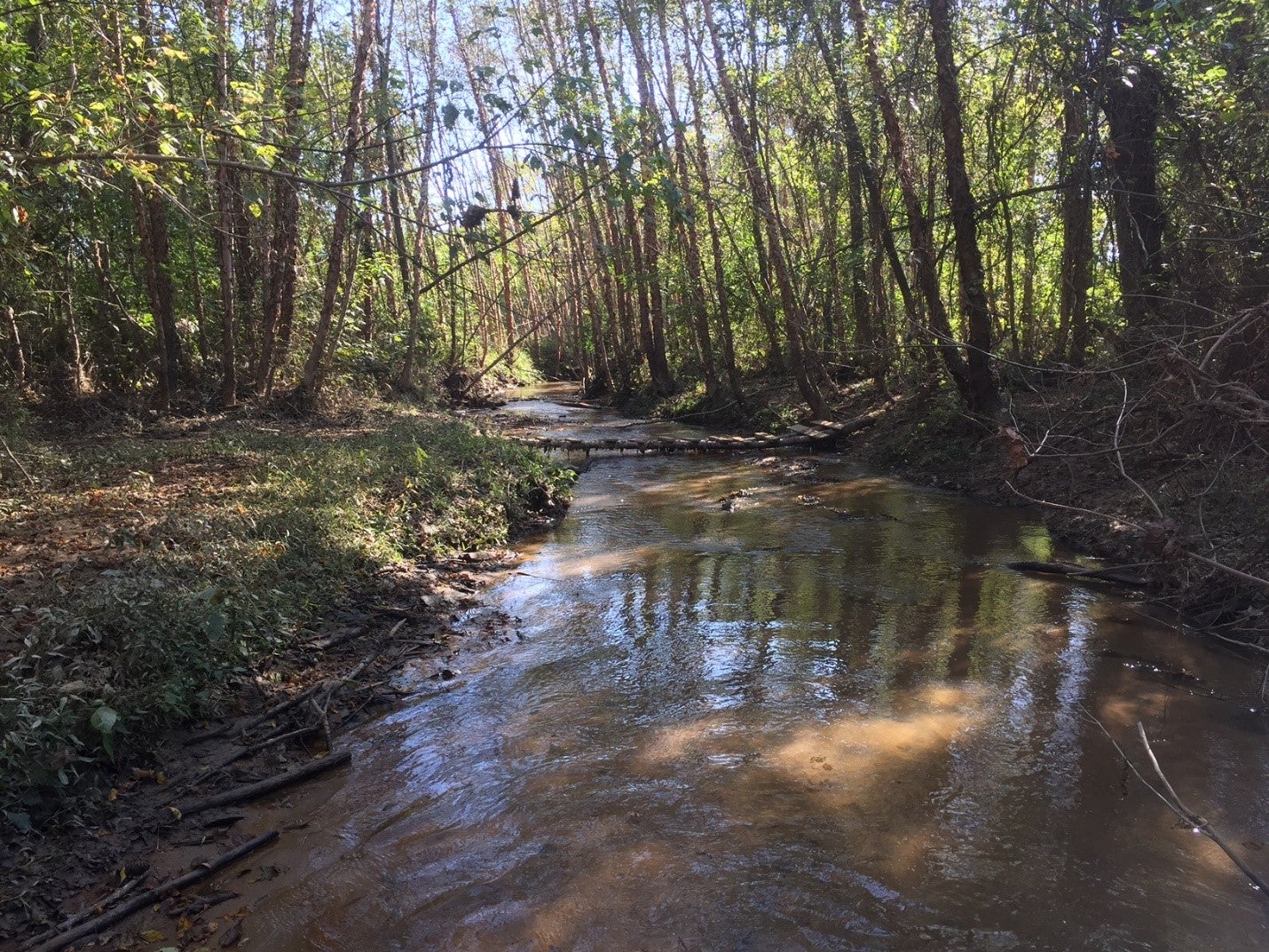 It’s time for stream policy to catch up with the science | Growing Returns