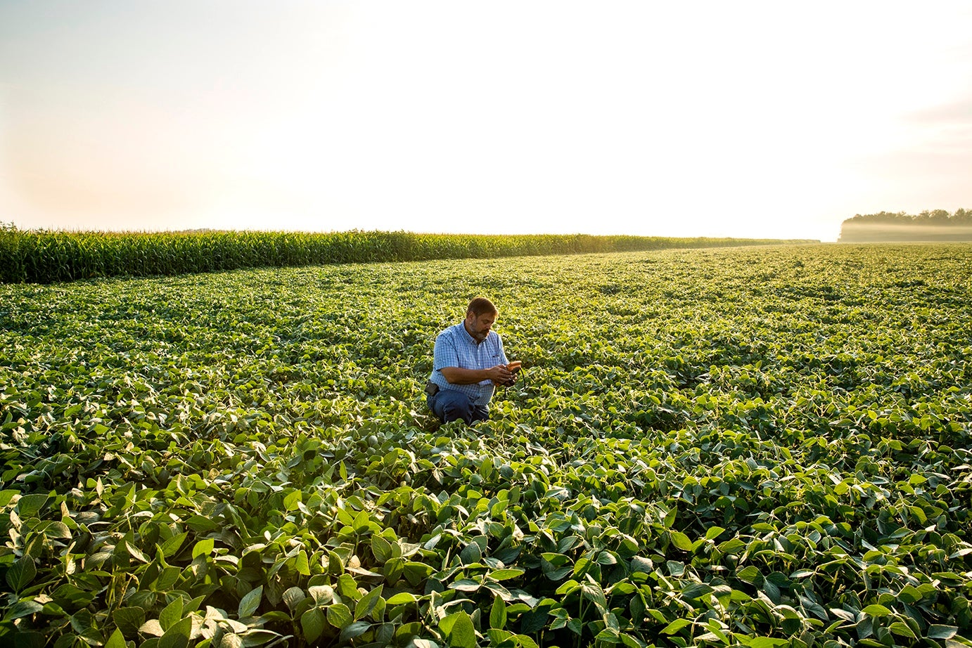 The next farm bill can jump-start agricultural conservation. Here’s how ...