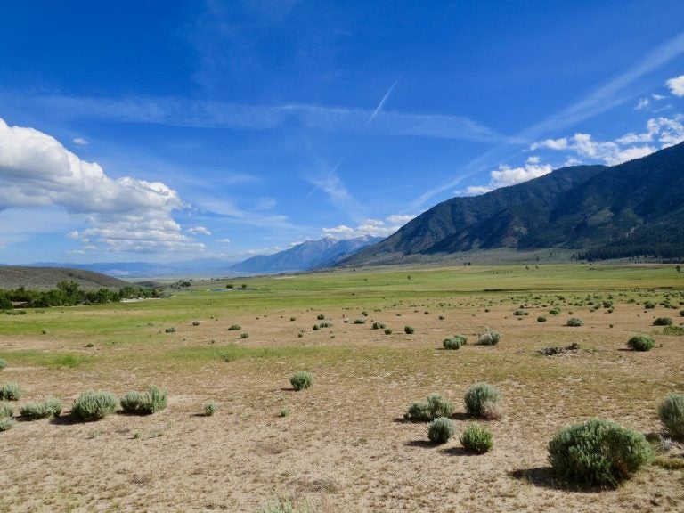 How can communities get the most from investing in nature? | Growing ...