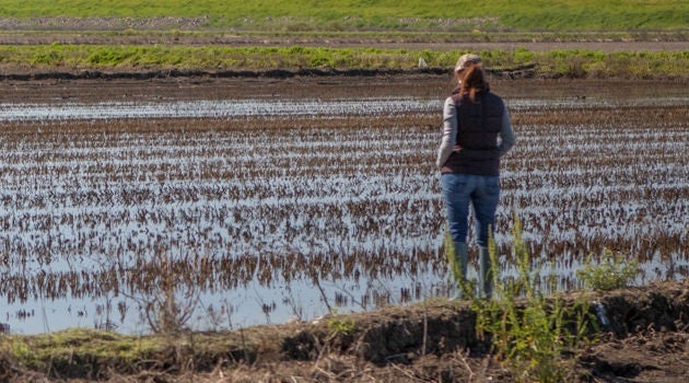 It’s not just Congress: More women are working in the water sector, too ...