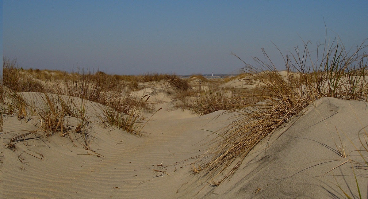 How to accelerate the use of natural infrastructure to aid climate ...