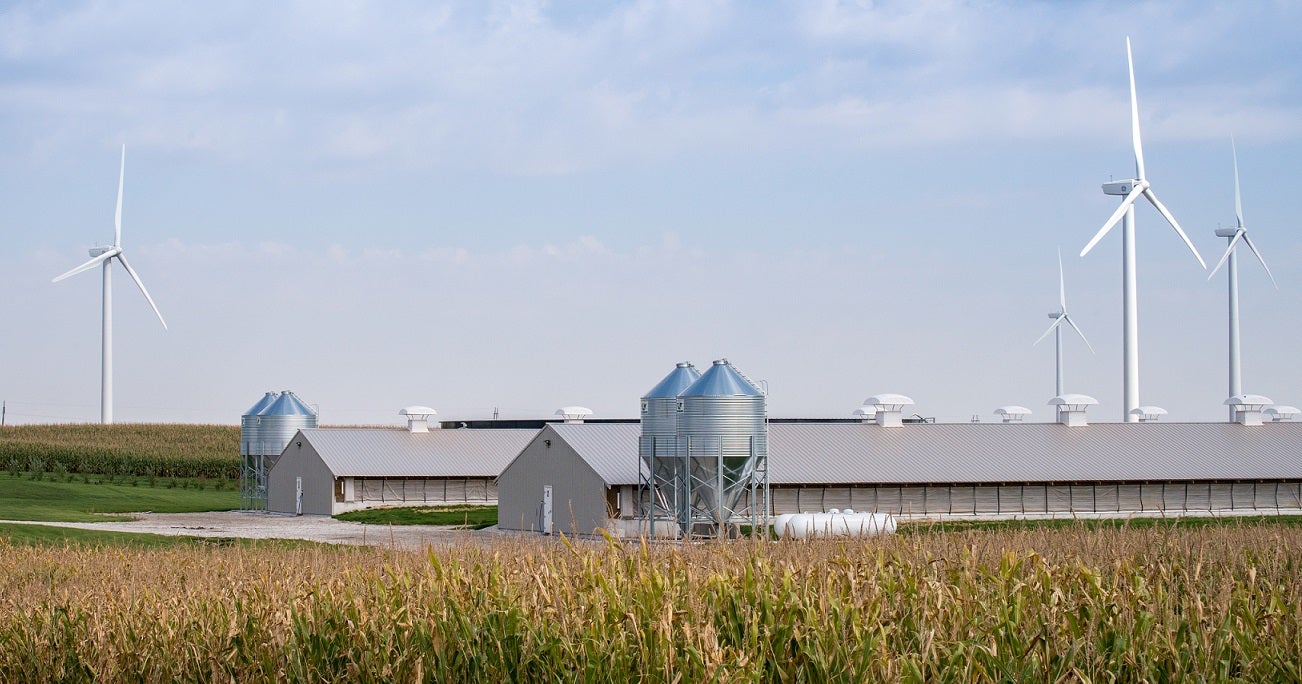 What food companies can learn from Smithfield Foods exceeding its grain ...