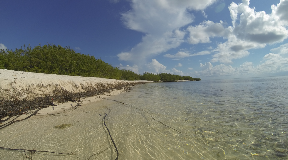 Three lessons from Cuba about improving coastal climate resilience ...