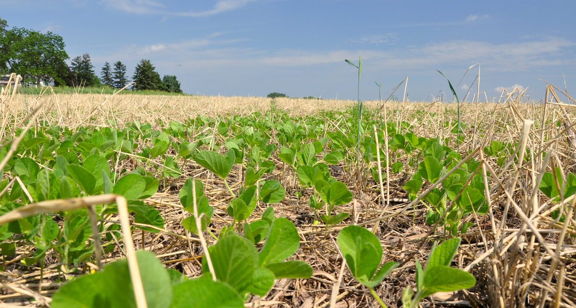 3 ways agricultural lenders can help farmers reap millions in savings ...