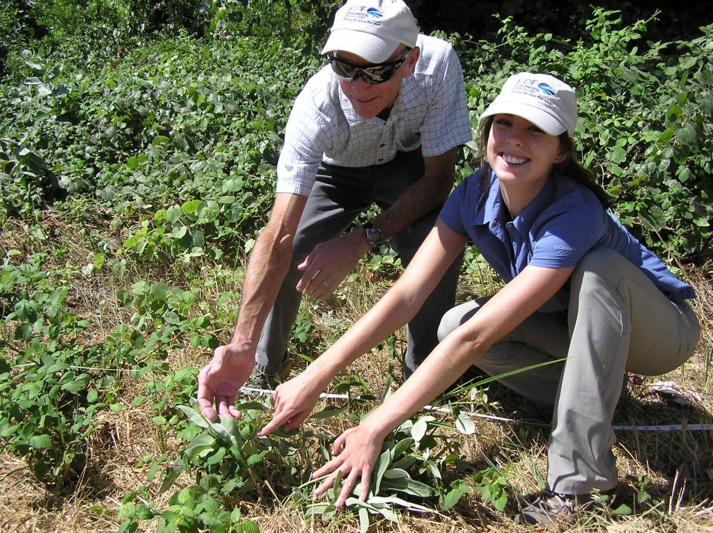 Why two California farms give me hope for the monarch butterfly ...
