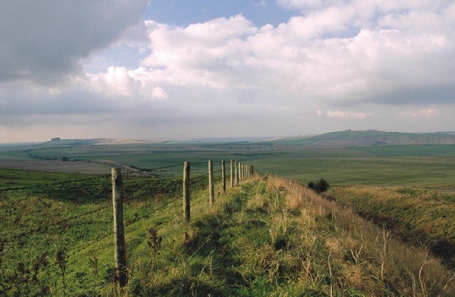 Got Grasslands How To Get Paid For Keeping Them Intact Growing Returns