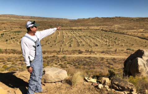 What 2,000 years of traditional Hopi farming in the arid Southwest can ...