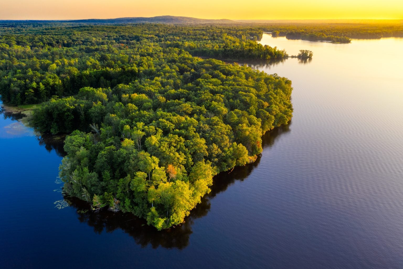 New Report Provides Roadmap For Natural Climate Solutions new-report-provides-roadmap-for-natural-climate-solutions