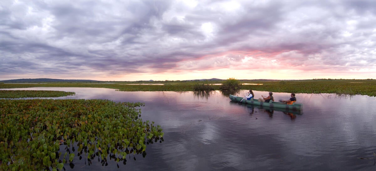 One year ago, the U.S. Supreme Court rolled back federal wetland ...