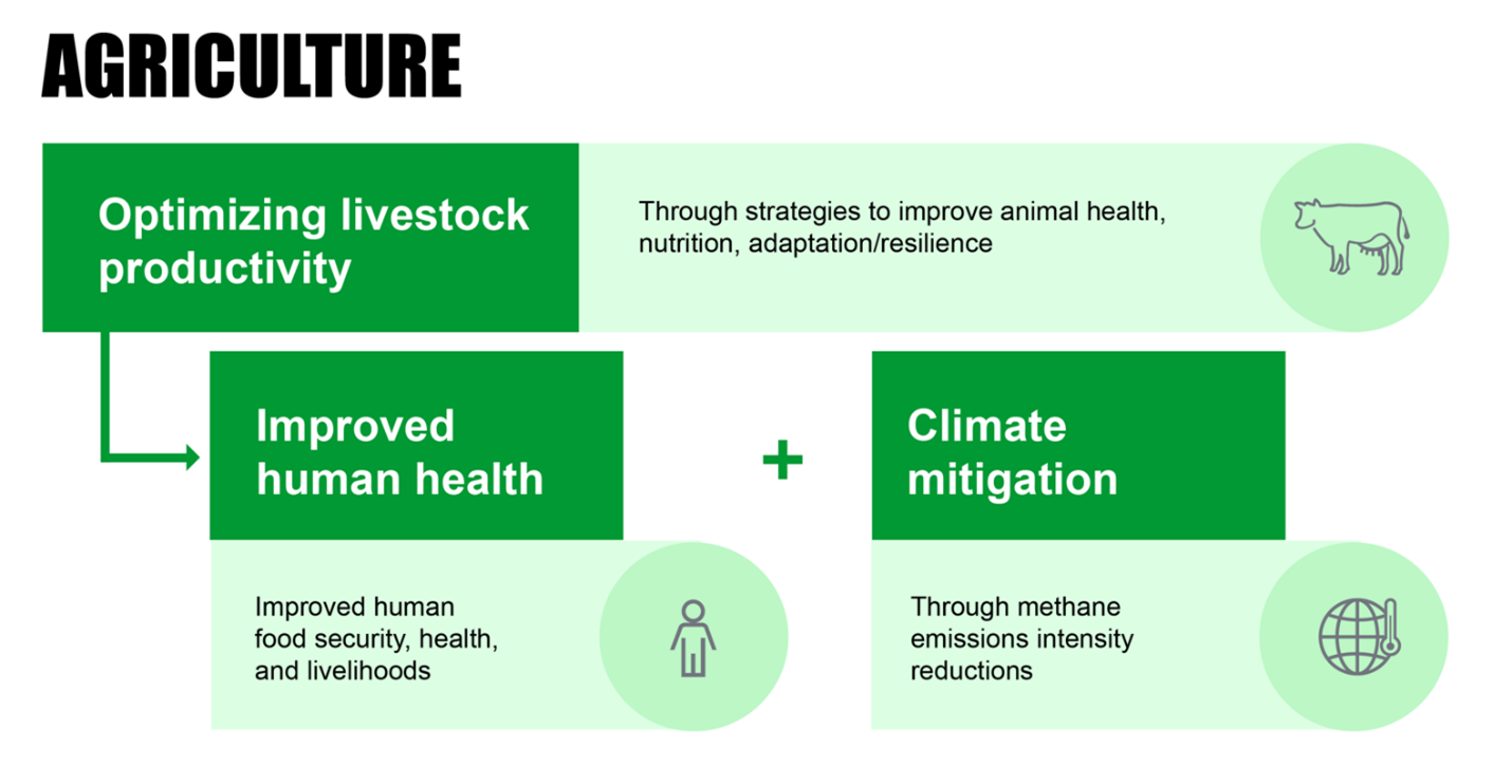 Animal health is key to healthy people and planet | Growing Returns