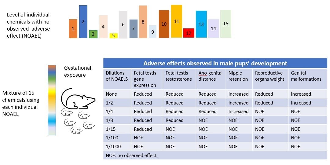 Anti-androgenic chemicals as a class of related substances with ...