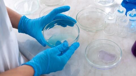 New analysis identifies 25 cancer-causing substances allowed in U.S ...