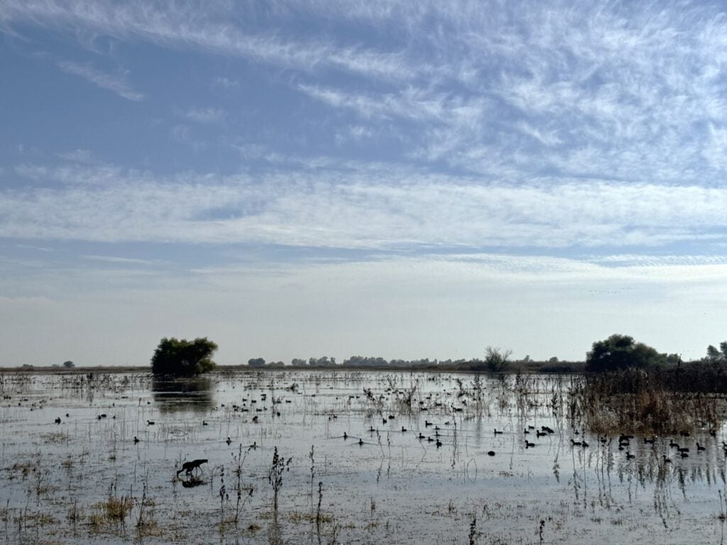 Fields of Innovation: A Trip Showcasing Multi-Benefit Land Repurposing ...