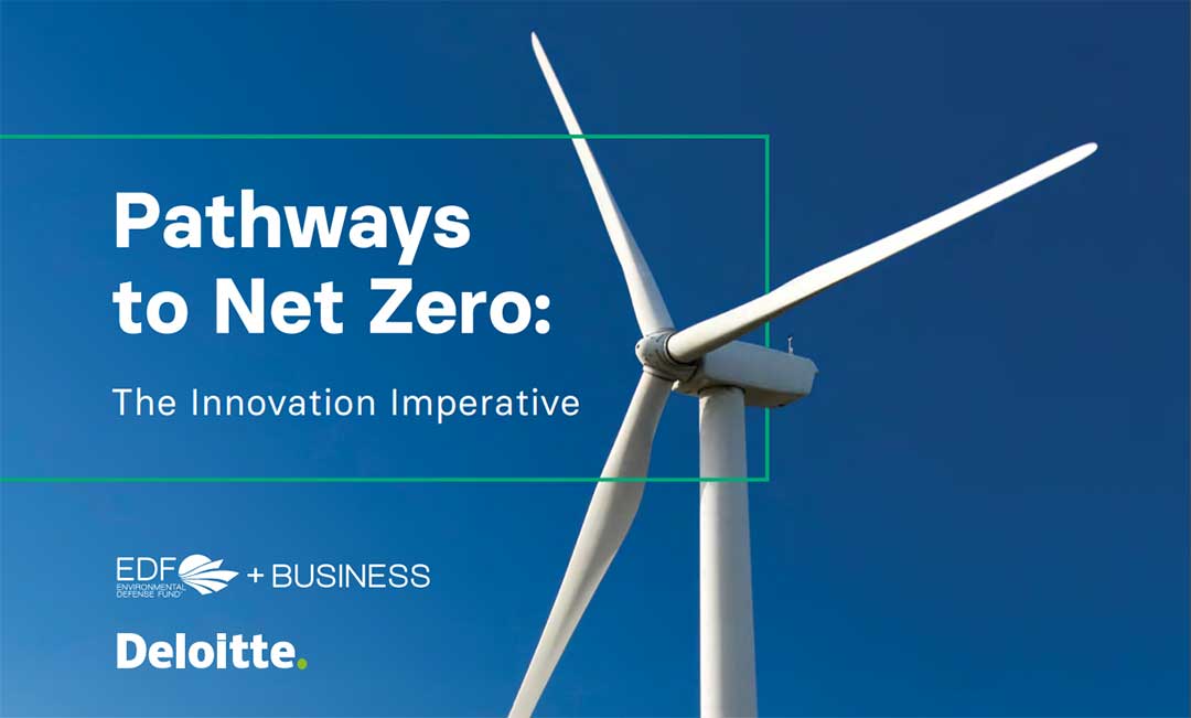 Pathways to Net Zero: The Innovation Imperative - EDF+Business