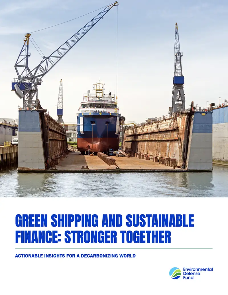 Green Shipping and Sustainable Finance: Stronger Together - EDF+Business