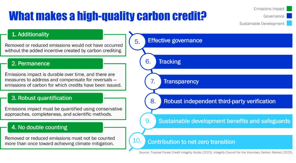 Carbon Credits 101 For Investors - EDF+Business